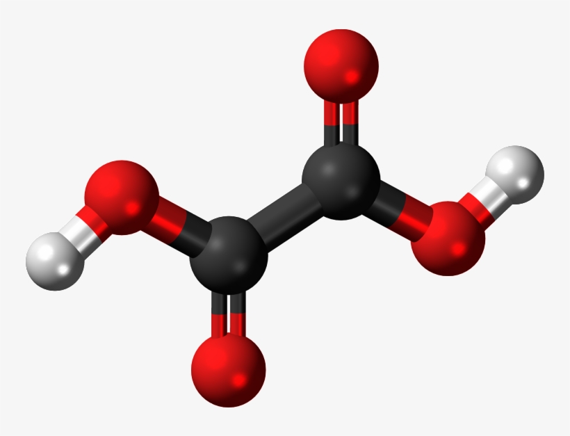Oxalate Ion In Guava PNG Image | Transparent PNG Free Download on SeekPNG