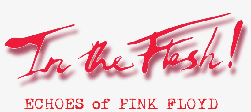 Transparent-logo - “ - Pink Floyd PNG Image | Transparent PNG Free ...