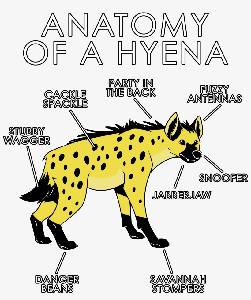 Download Anatomy Of A Hyena - Hyena Blue | Transparent PNG Download ...