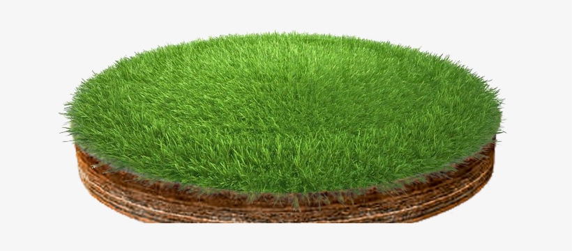 Lawn PNG Image | Transparent PNG Free Download on SeekPNG