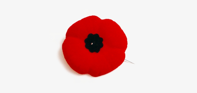 Download Poppy - Remembrance Day Poppy | Transparent PNG Download | SeekPNG