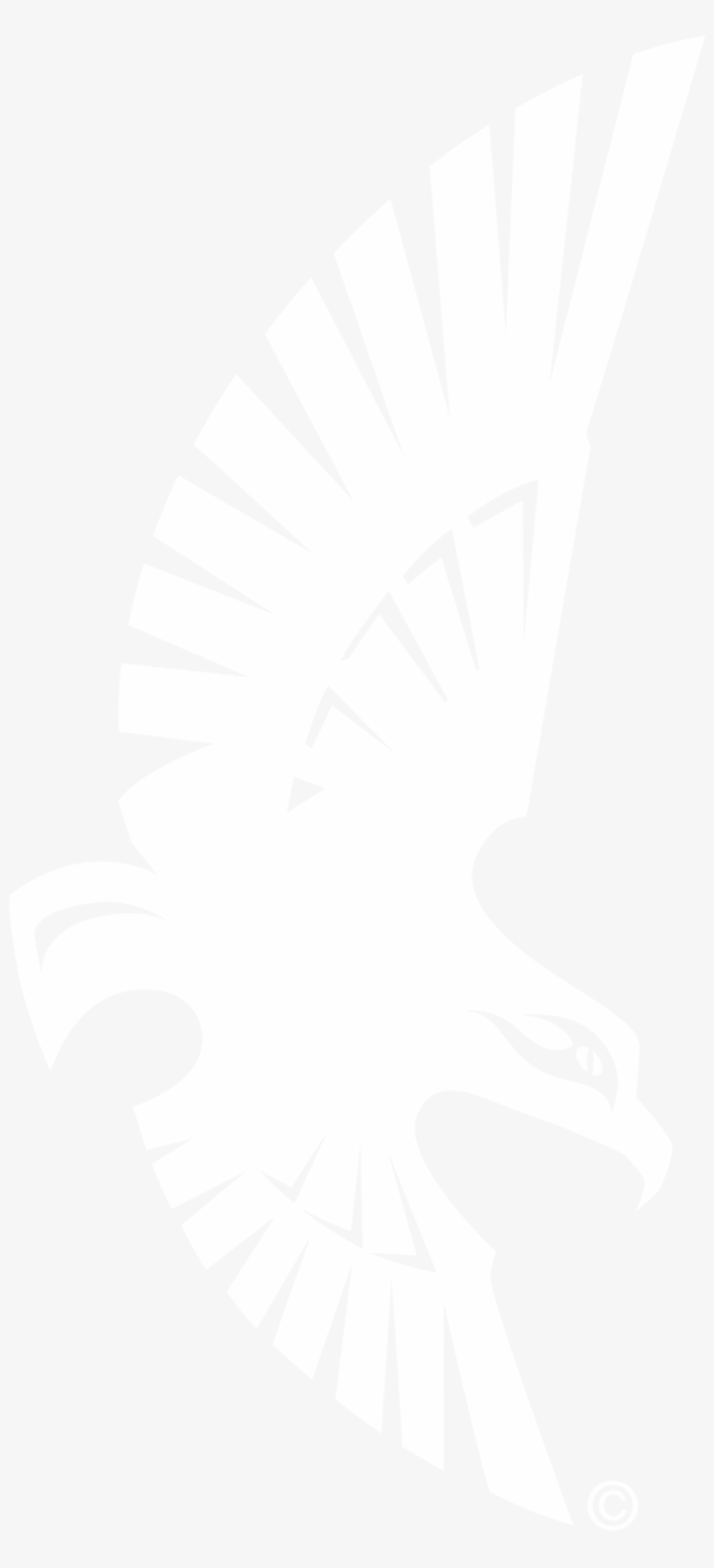 Uncw Soaring Seahawk Logo Black And White - Twitter White Icon Png PNG ...