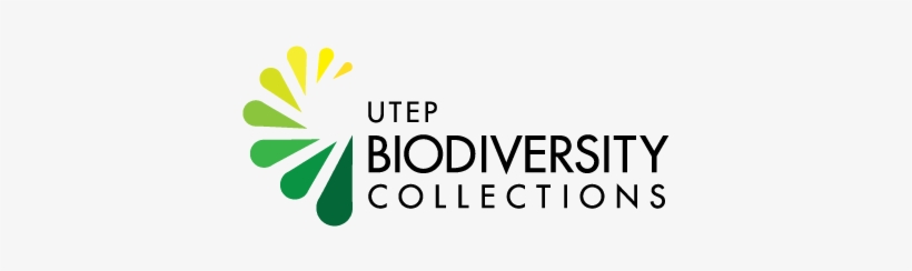 Sanderson Centre Brantford Logo PNG Image | Transparent PNG Free ...