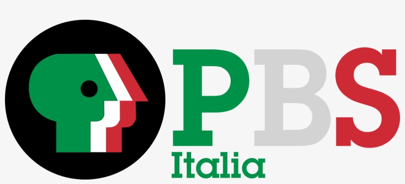 Download Pbs Dream Logo | Transparent PNG Download | SeekPNG