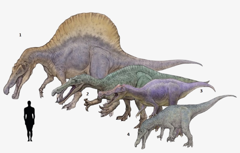 Download Spinosaurus Drawing Godzilla 2014 - Suchomimus Baryonyx ...