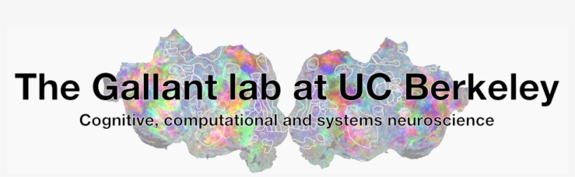The Gallant Lab @ Ucb - Human PNG Image | Transparent PNG Free Download ...