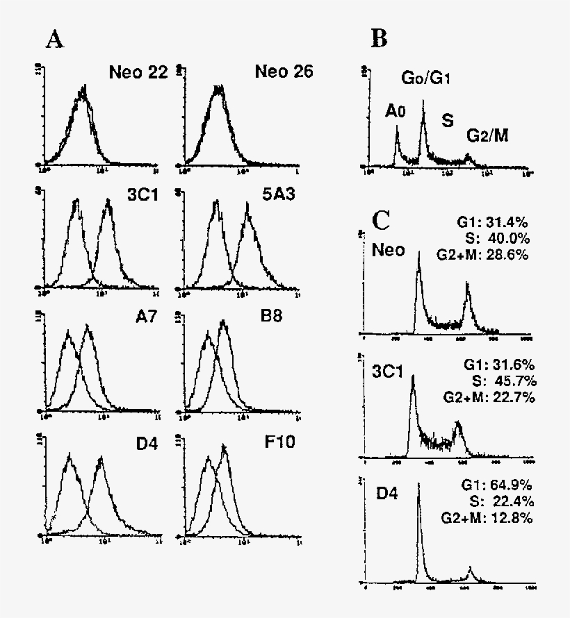 A, Surface Expression Of The Human 4 Integrin Subunit - Drawing PNG ...