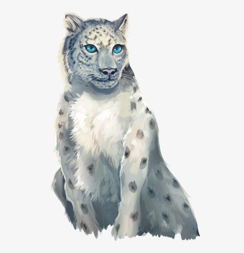 Snowleopard - Portable Network Graphics PNG Image | Transparent PNG ...