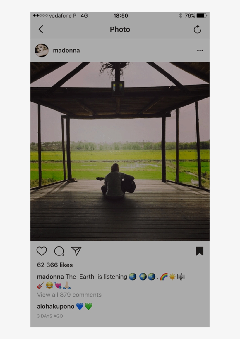 Canopy PNG Image | Transparent PNG Free Download on SeekPNG