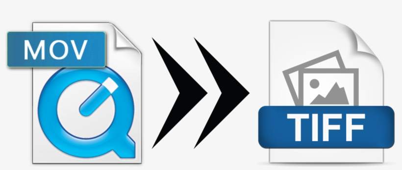 Mov To Tiff - Tiff File Logo PNG Image | Transparent PNG Free Download ...