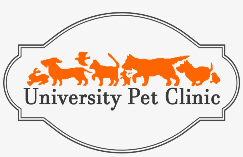 University Pet Clinic PNG Image | Transparent PNG Free Download on SeekPNG