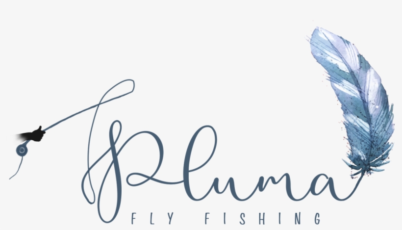 Title - Download PNG Image | Transparent PNG Free Download on SeekPNG