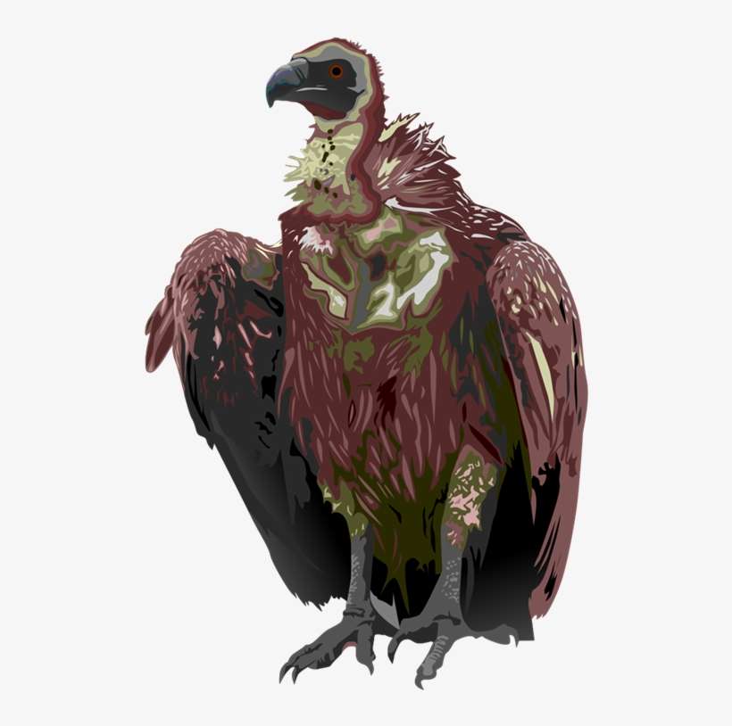 Clip Royalty Free Library Valcher Free On Dumielauxepices - Vulture Png ...