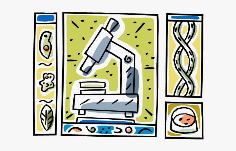 Biology Png - Pesquisa Google - Biology PNG Image | Transparent PNG ...