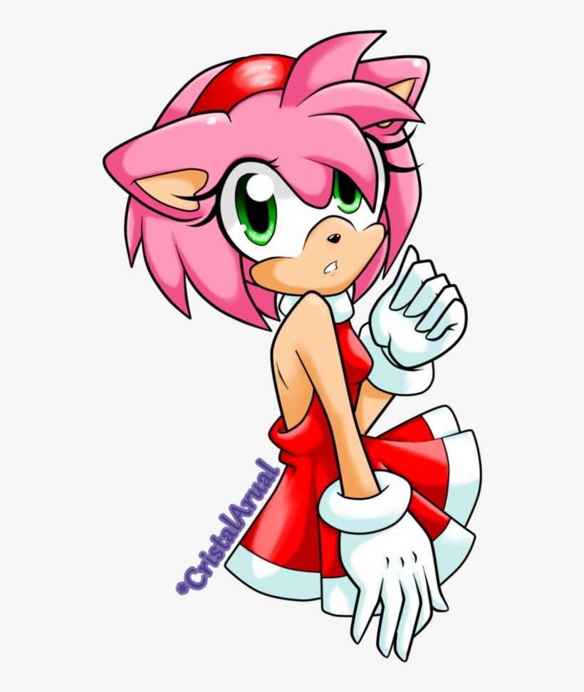Blaze The Cat Amy Rose - Amy Rose PNG Image | Transparent PNG Free ...