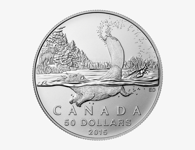 Coin PNG Image | Transparent PNG Free Download on SeekPNG