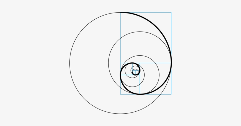 Download Golden Ratio Spiral 700 - Golden Ratio Circle Png ...