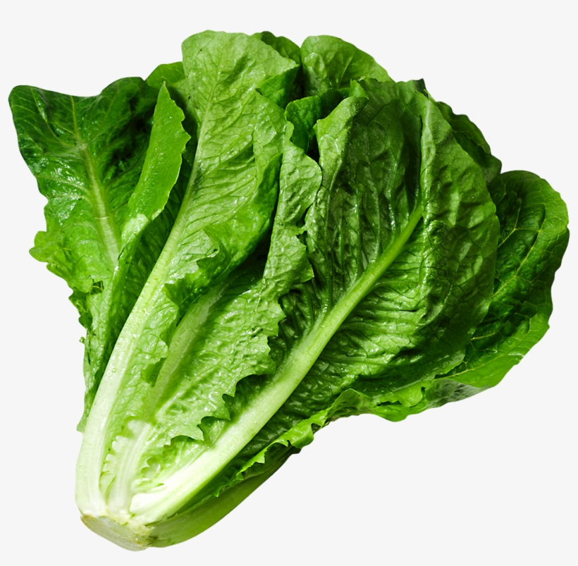 Fruits And Vegetables Images, Mixed Fruit, Lettuce, - Romaine Lettuce Seeds - 'parris Island Cos ...