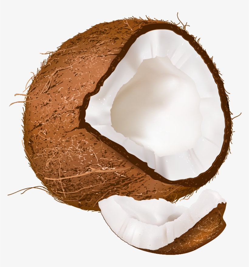 Coconut With No Background PNG Image | Transparent PNG Free Download on ...