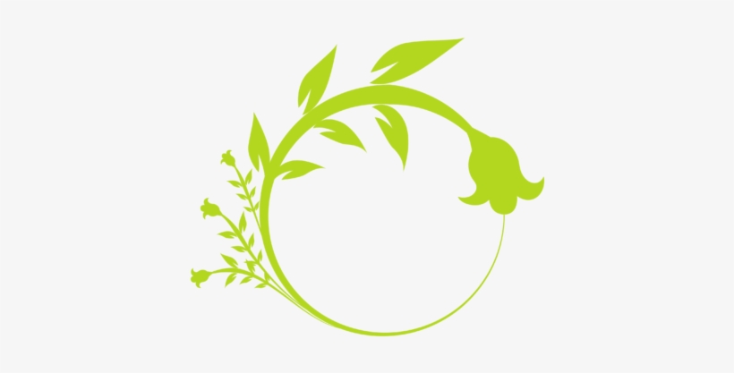 Download Hd Shapes Vecor Free Download - Shapes Png Hd | Transparent ...