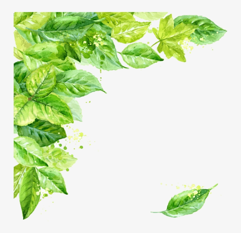 Free Png Leaf Frame Png Images Transparent - Watercolor Leaf Frame Png ...