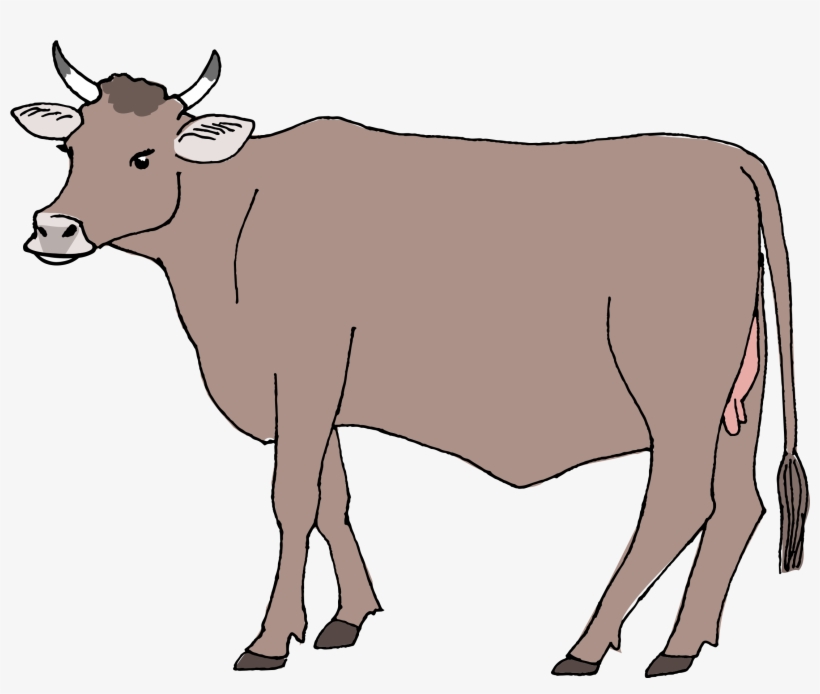 Download Cow - Indian Cow Vector | Transparent PNG Download | SeekPNG
