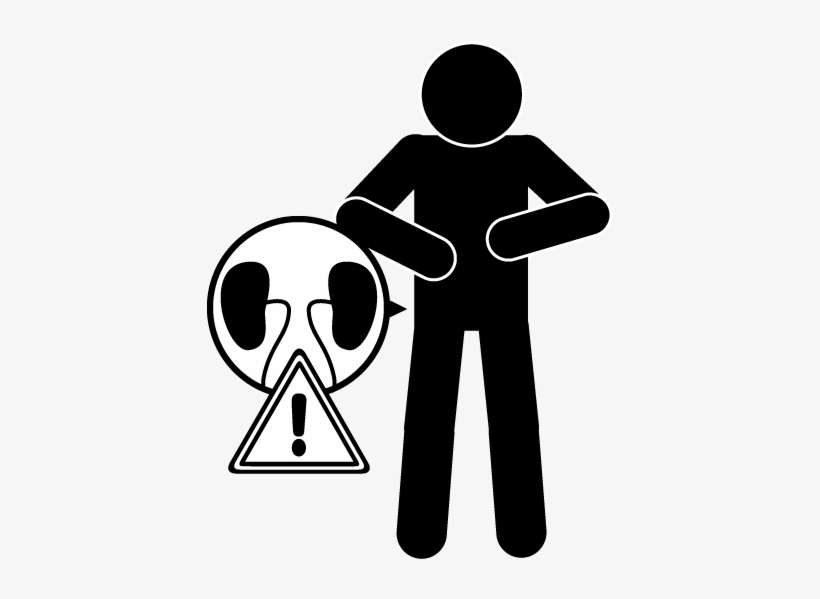 Kidney Failure Icon PNG Image | Transparent PNG Free Download on SeekPNG