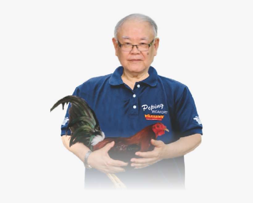 Don Peping Ricafort And Robert Gaston - Senior Citizen PNG Image ...