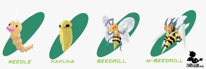 Weedle Evolutions - Weedle Evolution PNG Image | Transparent PNG Free ...