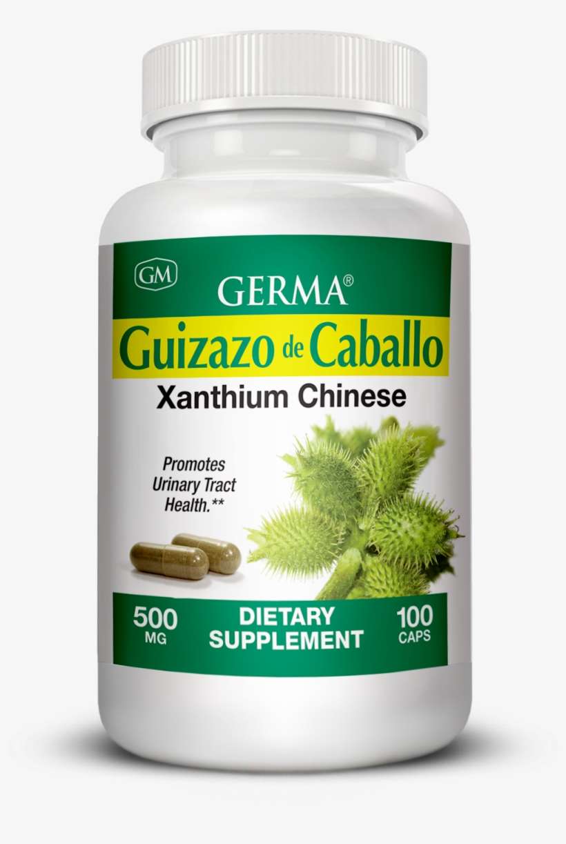 Germa Guizazo De Caballo 500mg / 100 Caps - Leafflower PNG Image ...
