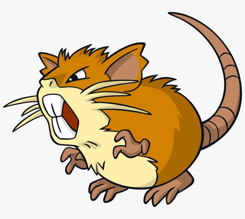 Download Evolved Form Of Rattata - Pokemon Raticate | Transparent PNG ...