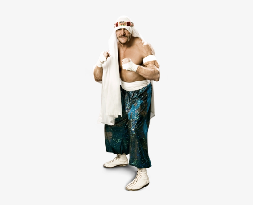 Download Sabu - Wrestling Legend - Ecw - An Ecw Original , Tna, - Ecw ...