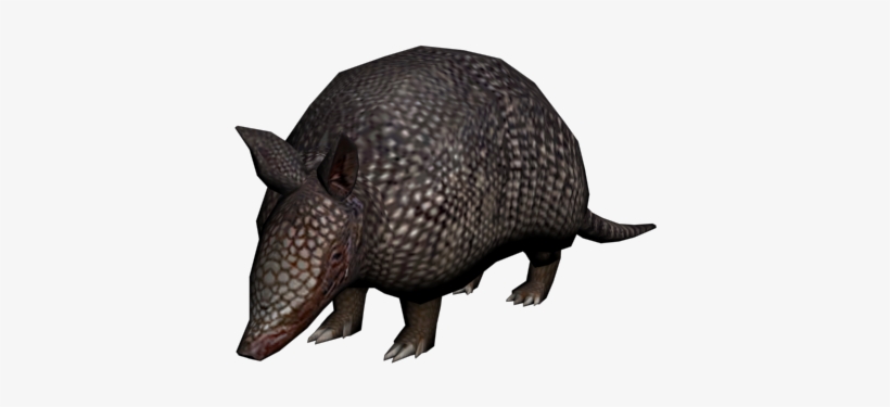 Armadillo - Red Dead Redemption Armadillo Animal PNG Image ...