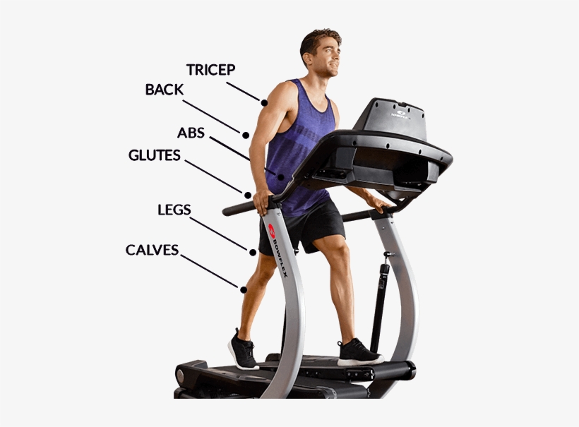 Benefits Of Cardio Training At Home - Does The Treadclimber Work Out ...