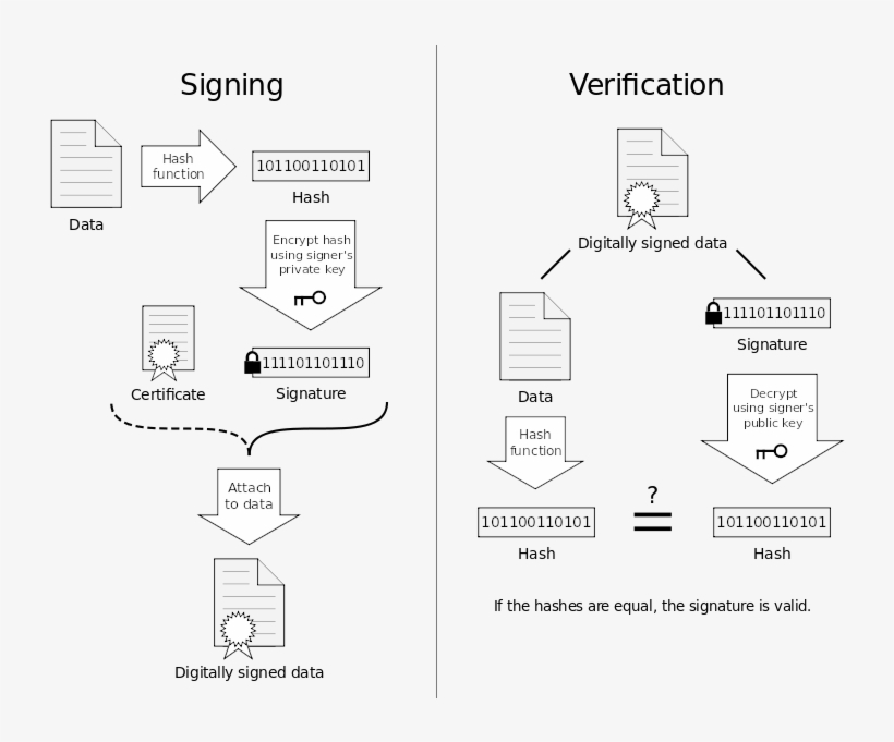 Digital Signature - Working Of Digital Signature PNG Image ...