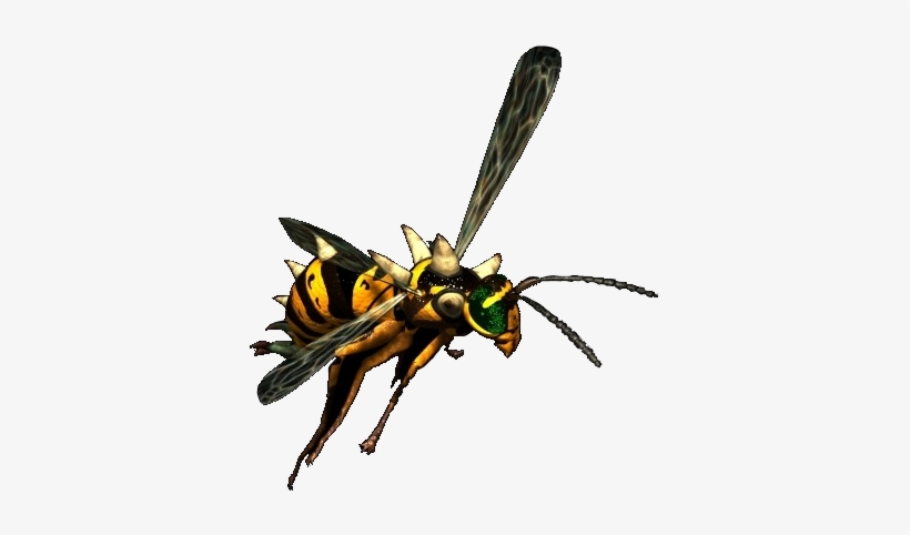 Download Fot Wasp - Dnd 5e Giant Wasp | Transparent PNG Download | SeekPNG