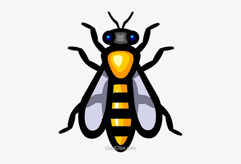 Symbol Of A Wasp Royalty Free Vector Clip Art Illustration - Wasp ...