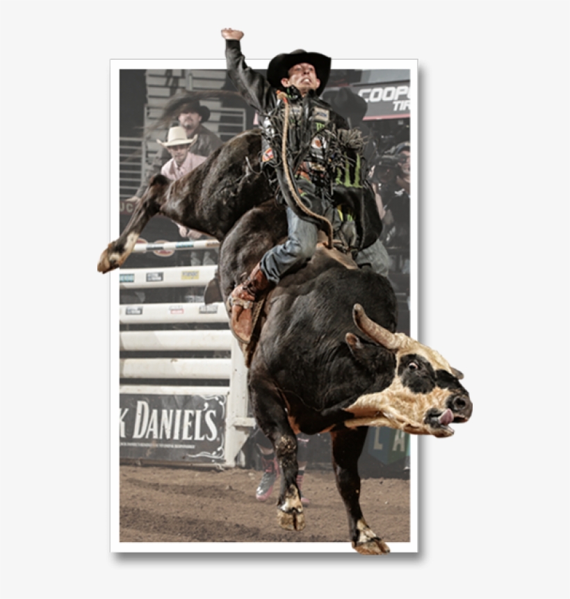 Download Pbr Bullfighters | Transparent PNG Download | SeekPNG