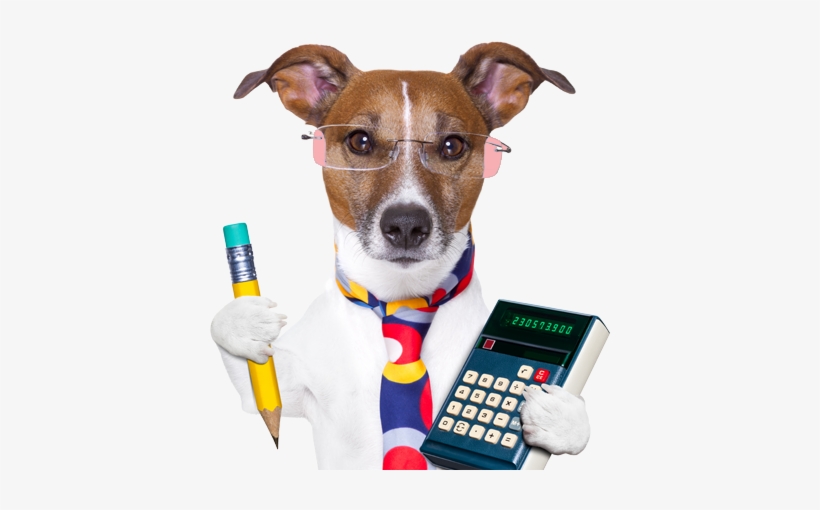 Home Which 1 - Dog Calculating PNG Image | Transparent PNG Free ...