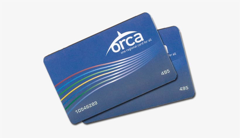 Orca Card PNG Image | Transparent PNG Free Download on SeekPNG