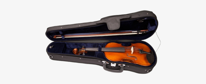 Viola PNG Image | Transparent PNG Free Download on SeekPNG