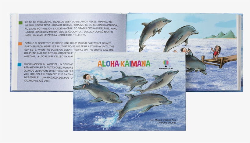 Language Combination - Book PNG Image | Transparent PNG Free Download ...