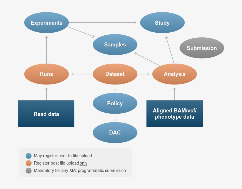 Download Ega Metadata Model - Diagram | Transparent PNG Download | SeekPNG
