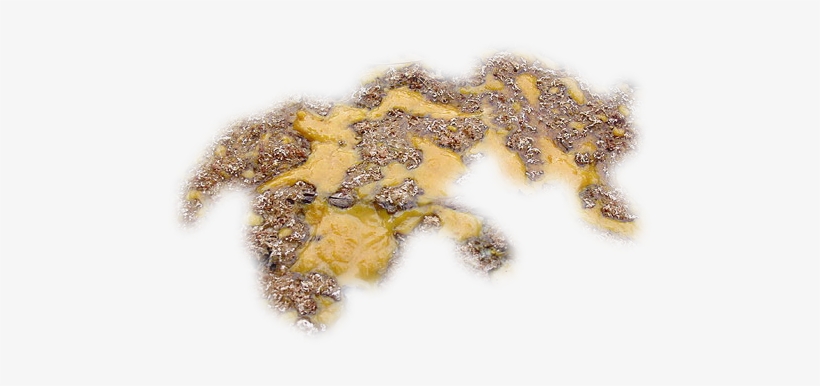 24 Mar 2009 - D&d Yellow Mold PNG Image | Transparent PNG Free Download ...