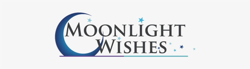 Download Wright State University Logo | Transparent PNG Download | SeekPNG