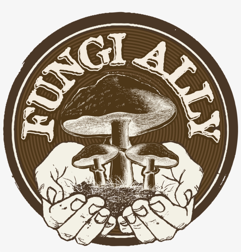 Fungi Ally - Oyster Mushroom Logo PNG Image | Transparent PNG Free ...