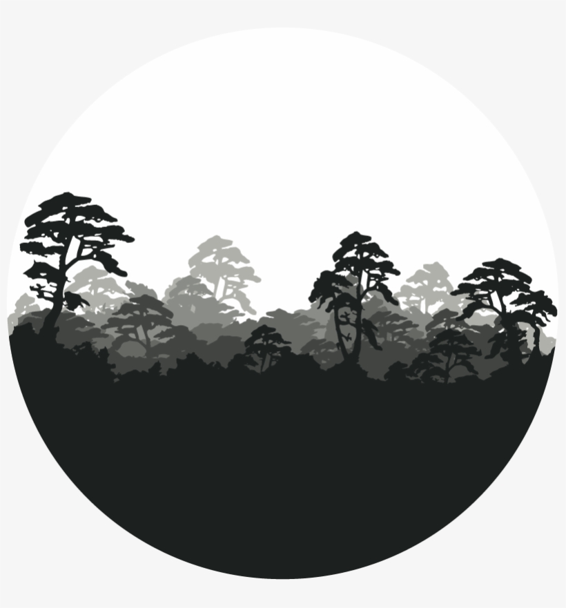 Dark Forest Png - Forest Png PNG Image | Transparent PNG Free Download ...