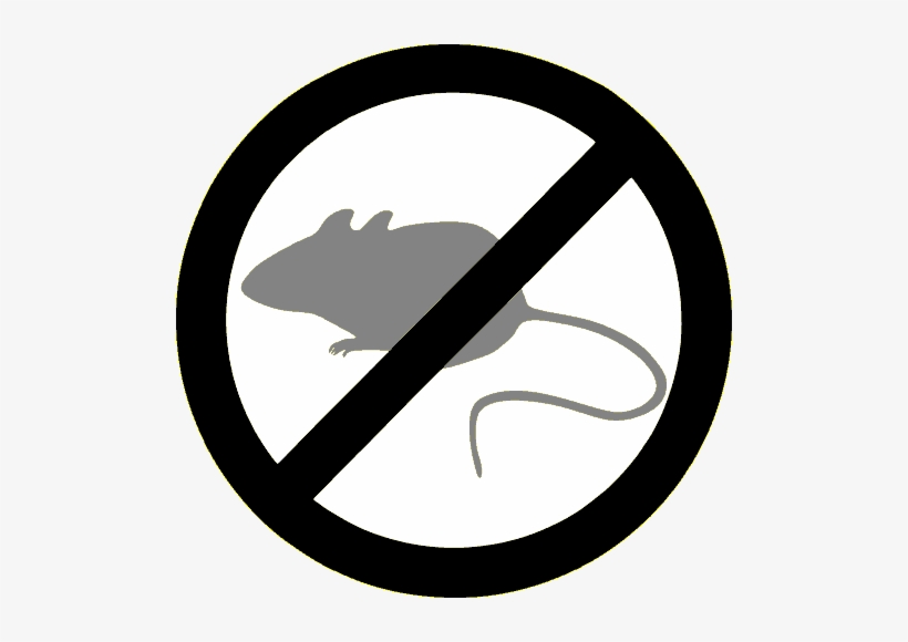 Turp Logo Only - Public Domain PNG Image | Transparent PNG Free ...