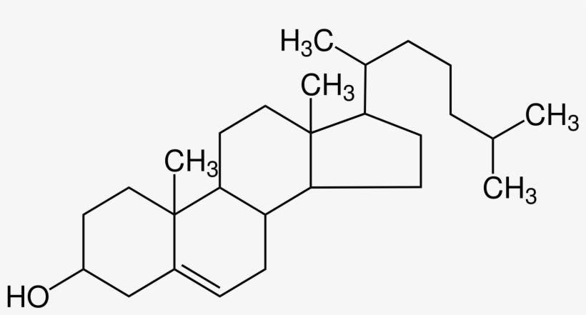 Cholesterol Structure - Sigma-aldrich Dimethyl Sulfoxide,100ml,hybri ...