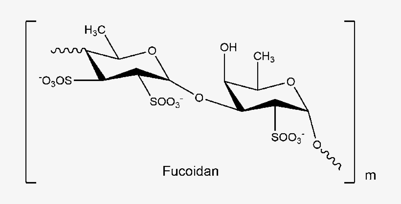 5 Structure Of Fucoidan - Fucoidan Structure PNG Image | Transparent ...